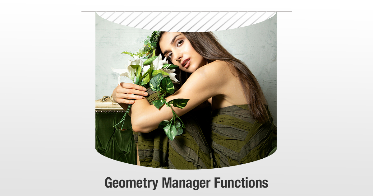 Geometry Manager Functions | Projector | Panasonic Global